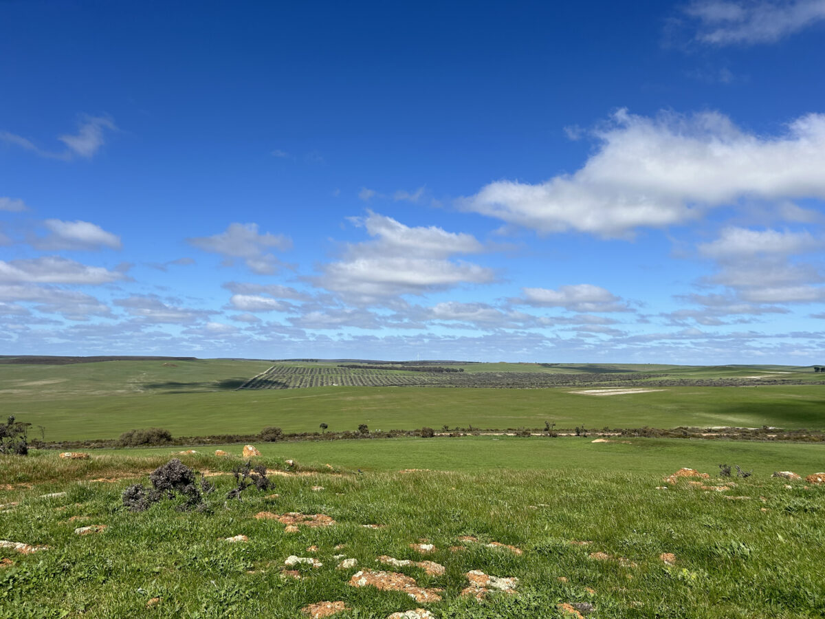 Parron Wind Farm | Atmos Renewables